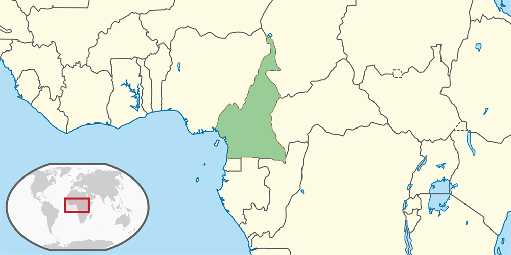 Cameroon - Global Hunger Index (GHI) - peer-reviewed annual publication ...