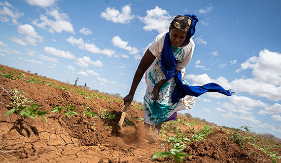 Resources for Understanding Hunger and Nutrition - Global Hunger Index ...